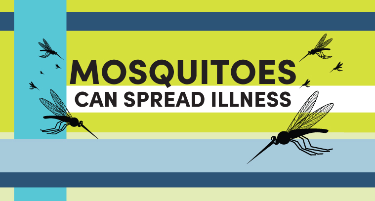 DOH-Alachua Issues Mosquito-Borne Illness Advisory - Florida Department ...